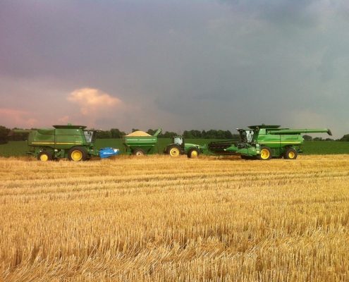 Process | Riverbend Malt House | Craft Malt