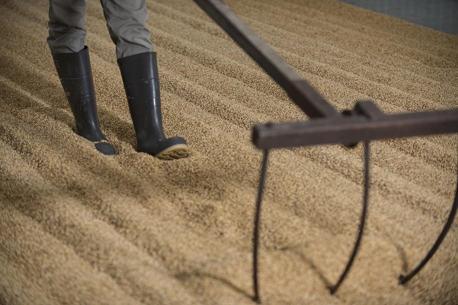Our Story | Riverbend Malt House | Craft Malt