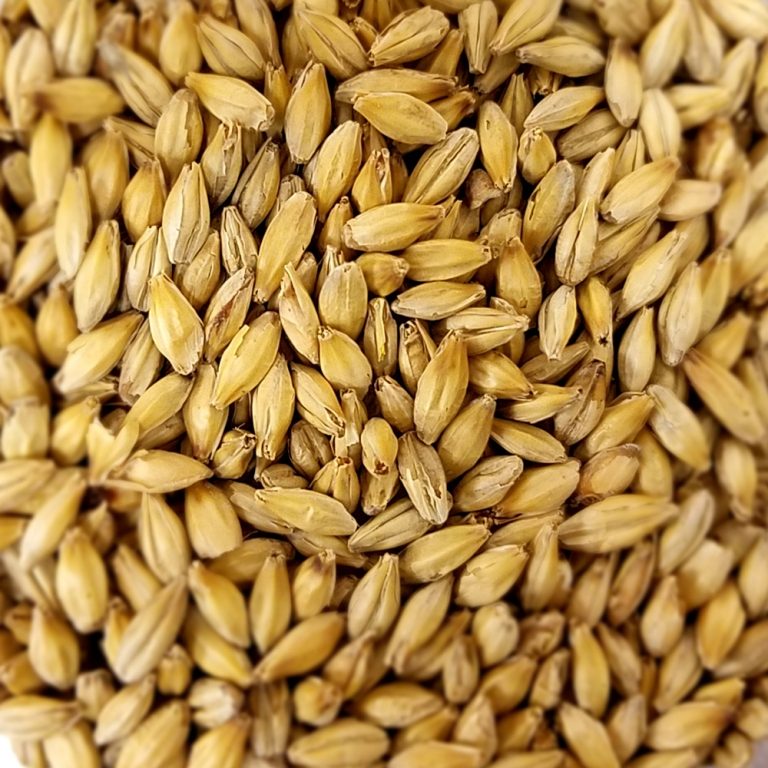 Home | Riverbend Malt House