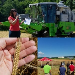How Craft Malt Is Made - Our Process | Riverbend Malt House
