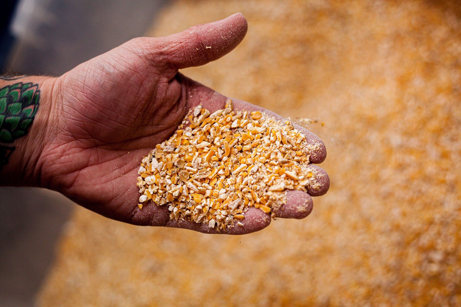 Our Story | Riverbend Malt House | Craft Malt