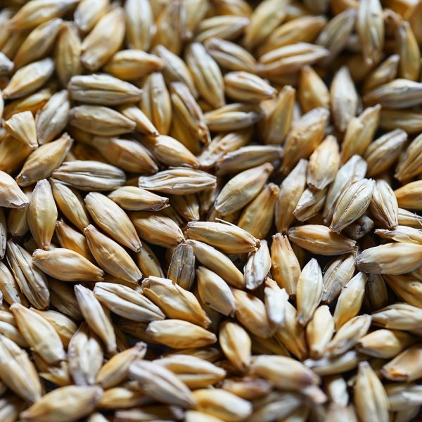 Home | Riverbend Malt House