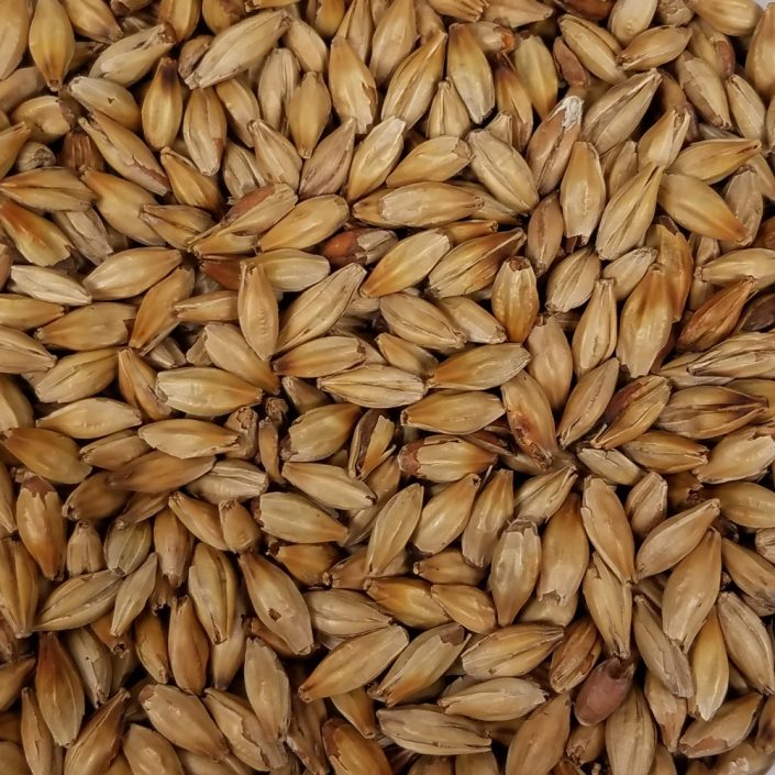 Cumberland Corn Malt | Riverbend Malt House