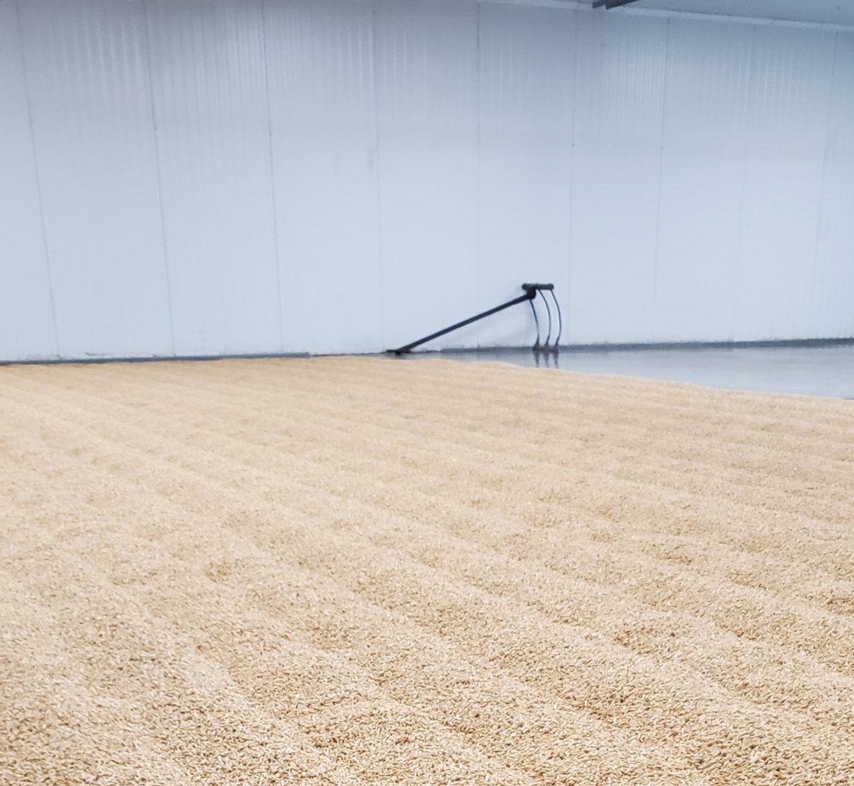 Capturing The Taste Of Home With Contract Malting | Riverbend Malt House