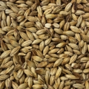 Home | Riverbend Malt House