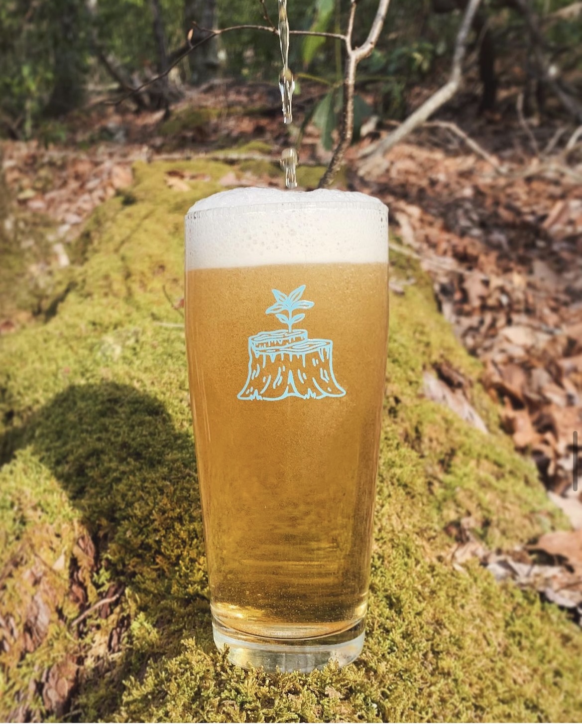 Cellarest Beer Project - Tally | Riverbend Malt House