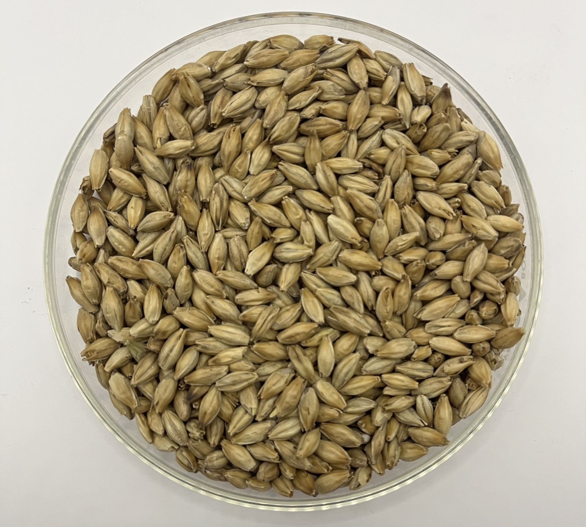 Riverbend Malt House Unveils Terroir With Speakeasy Malt For Distillers ...