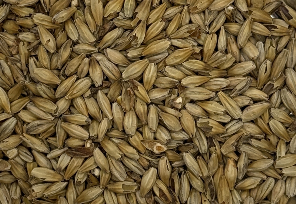Crystal 20 Malt | Riverbend Malt House