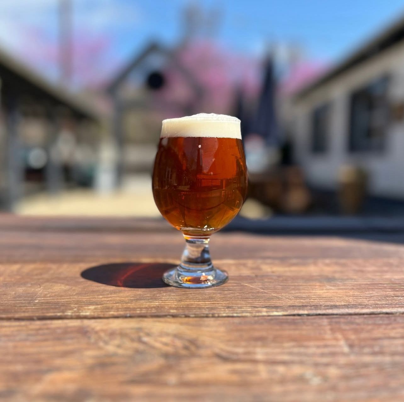 Big Pillow Brewing - Czech Amber Lager | Riverbend Malt House