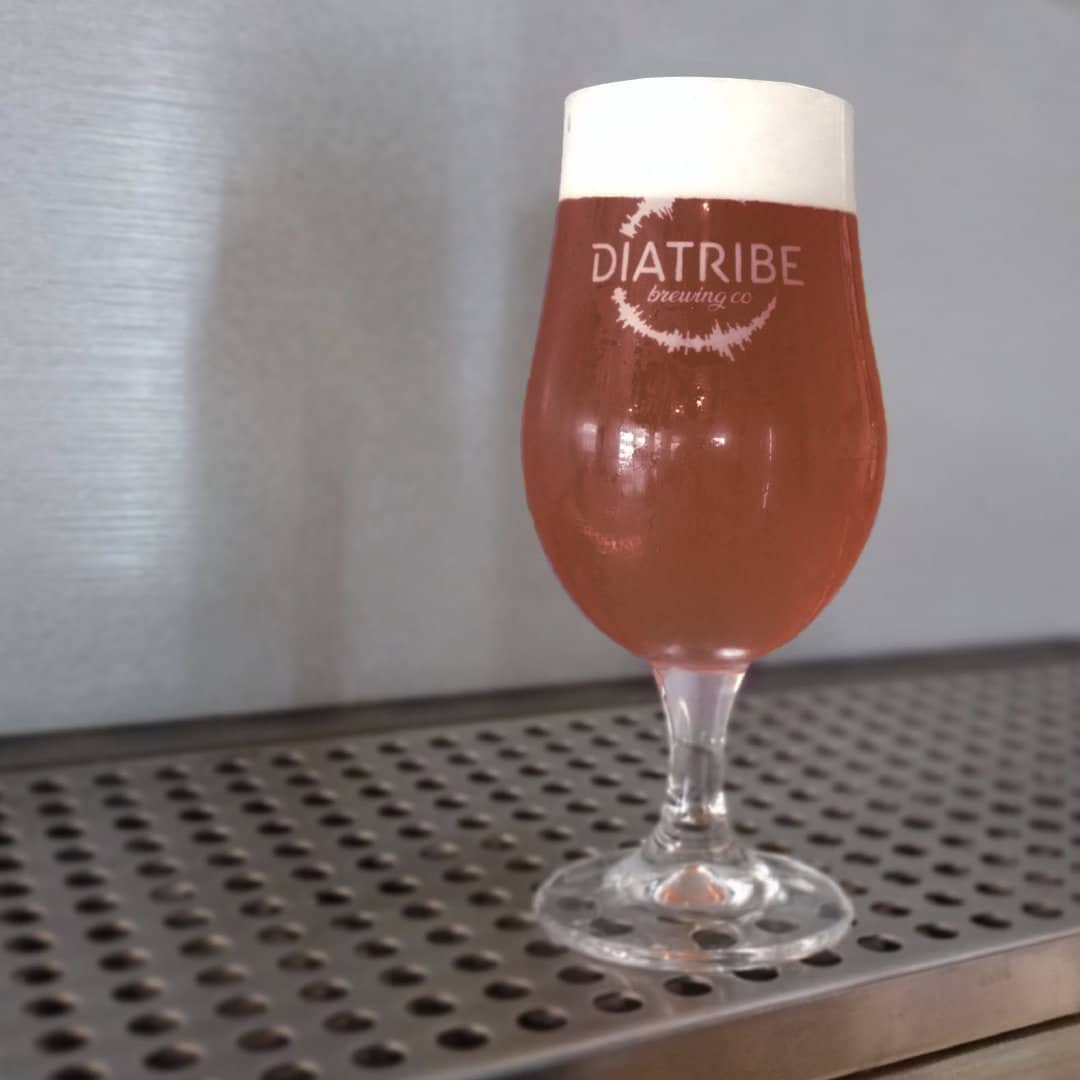 Diatribe Brewing Co. - Amburana Fruit Punch Sour | Riverbend Malt House